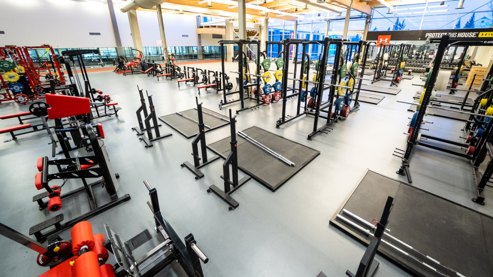 National concussion guidelines announced for high performance sport in ...
